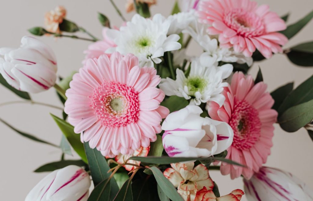 Bloom Voucher Codes • Promo • Thisisdevon.co.uk